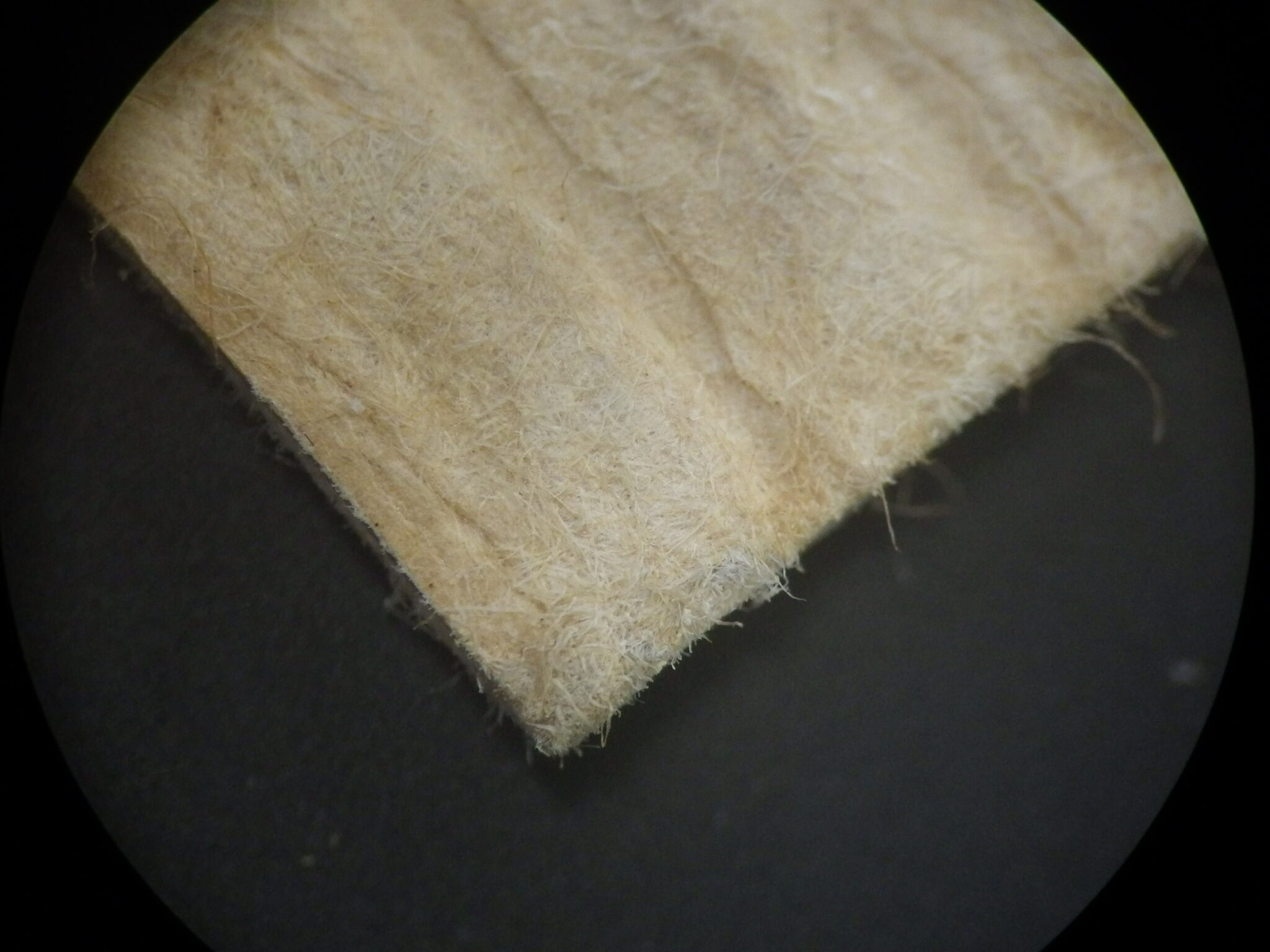 1266 西洋紙製品種類標本を顕微鏡で見てみた